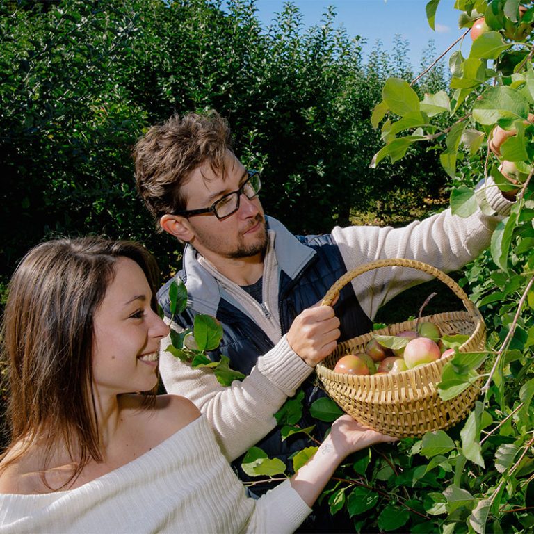 Apple Picking in Warwick, Orange County NY - Pennings Farm Market