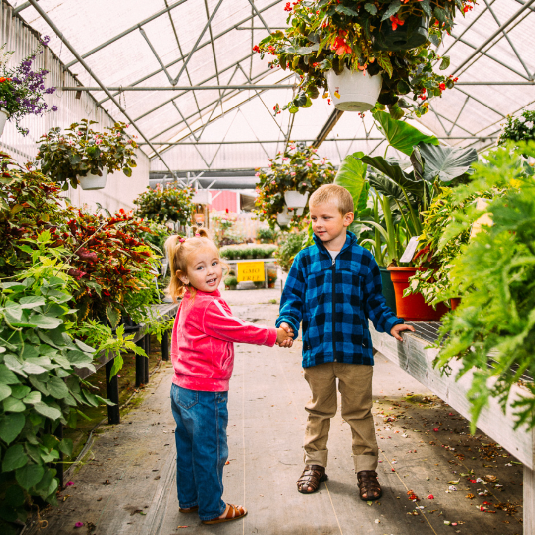 A Day at Pennings Farm Market - Pennings Farm Market